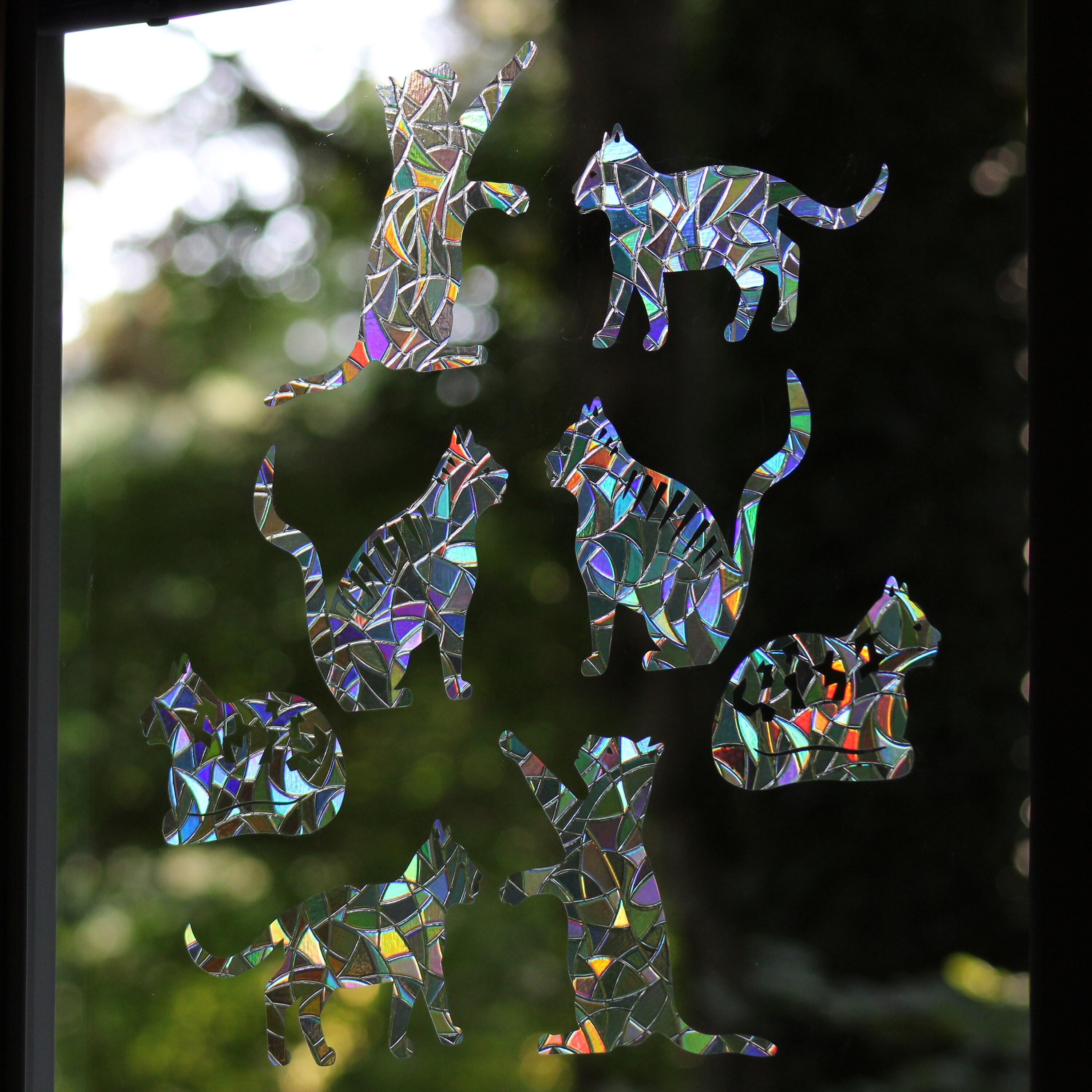 Cats Rainbow Prism Window Decals Set of 8 prevent bird | Etsy