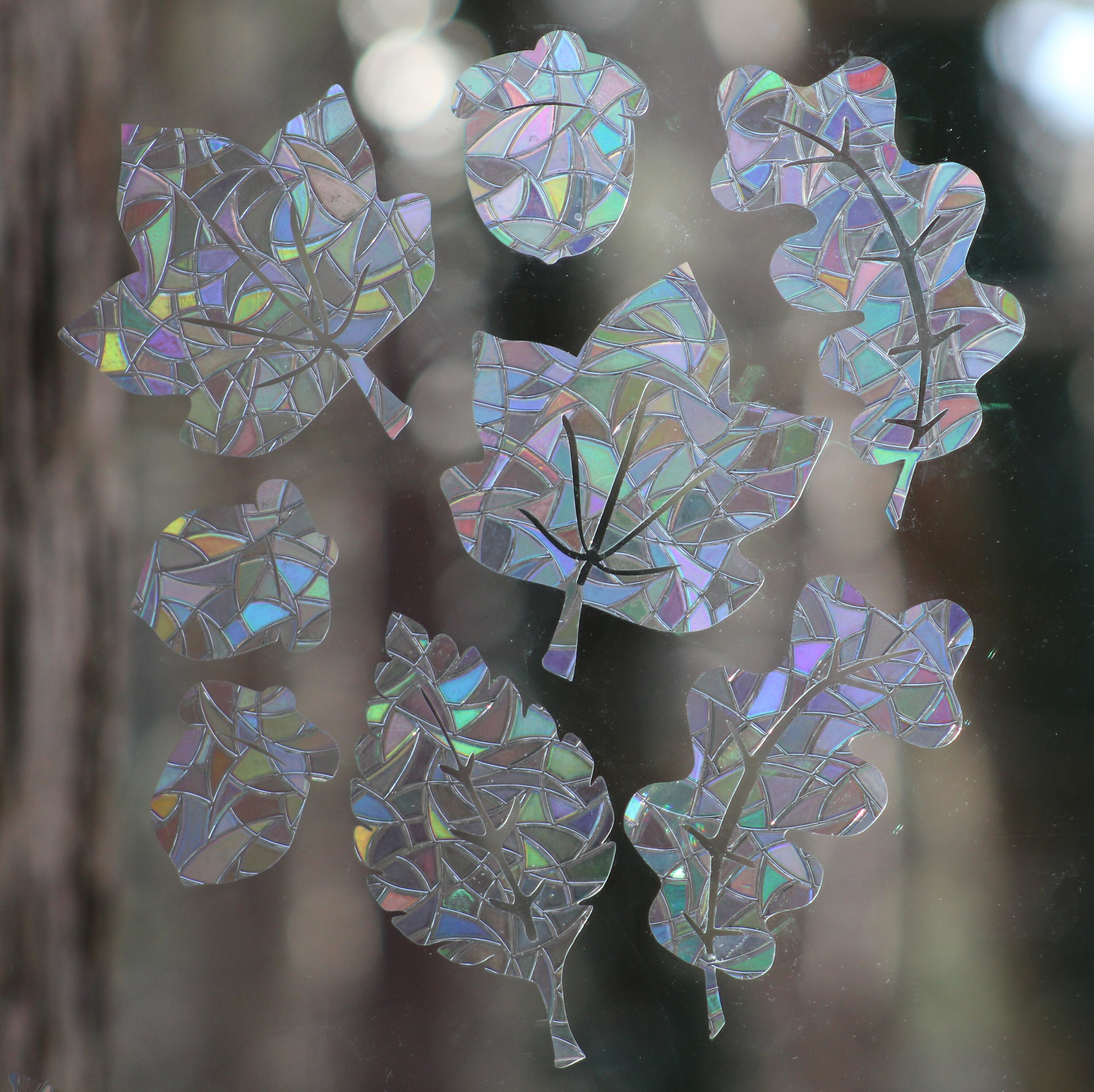 Leaves and Acorns Rainbow Prism Window Decals Set of 8 | Etsy