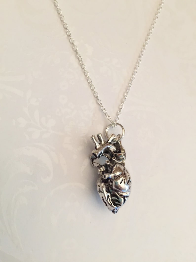 Human Anatomical Heart Necklace Anatomy Heart Necklace Gift - Etsy