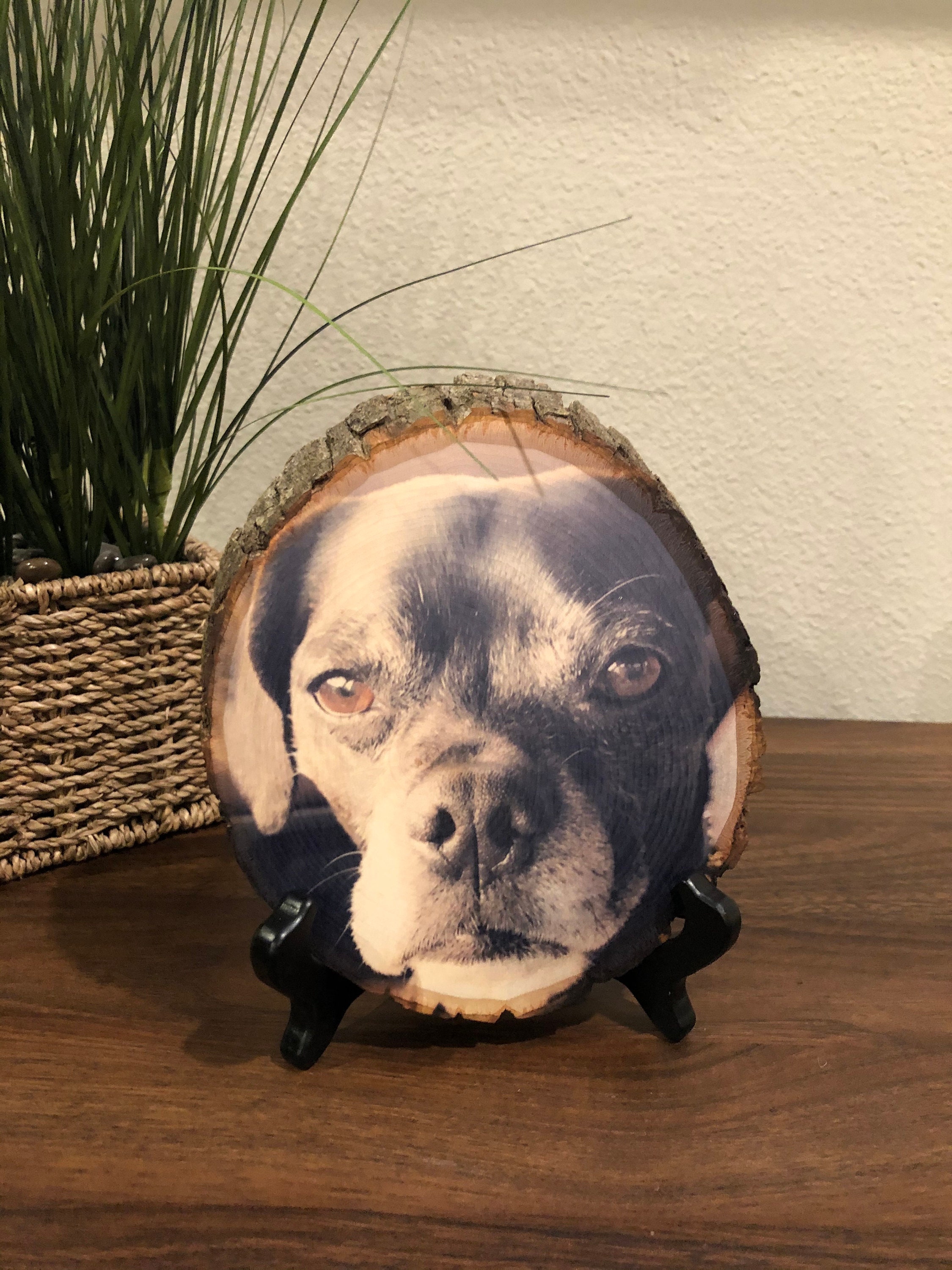 Pet Keepsakes Pet Memorial Pet Dog Dog Photo Pet Gifts | Etsy