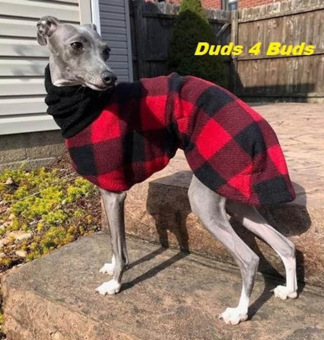 Italian Greyhound Coat Italian Greyhound Clothing Dog Coat | Etsy