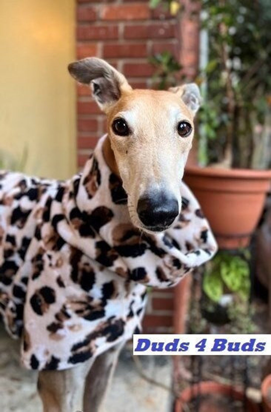 Greyhound Coat - Fleece Coat for Greyhound - Dog Jacket - Greyhound ...