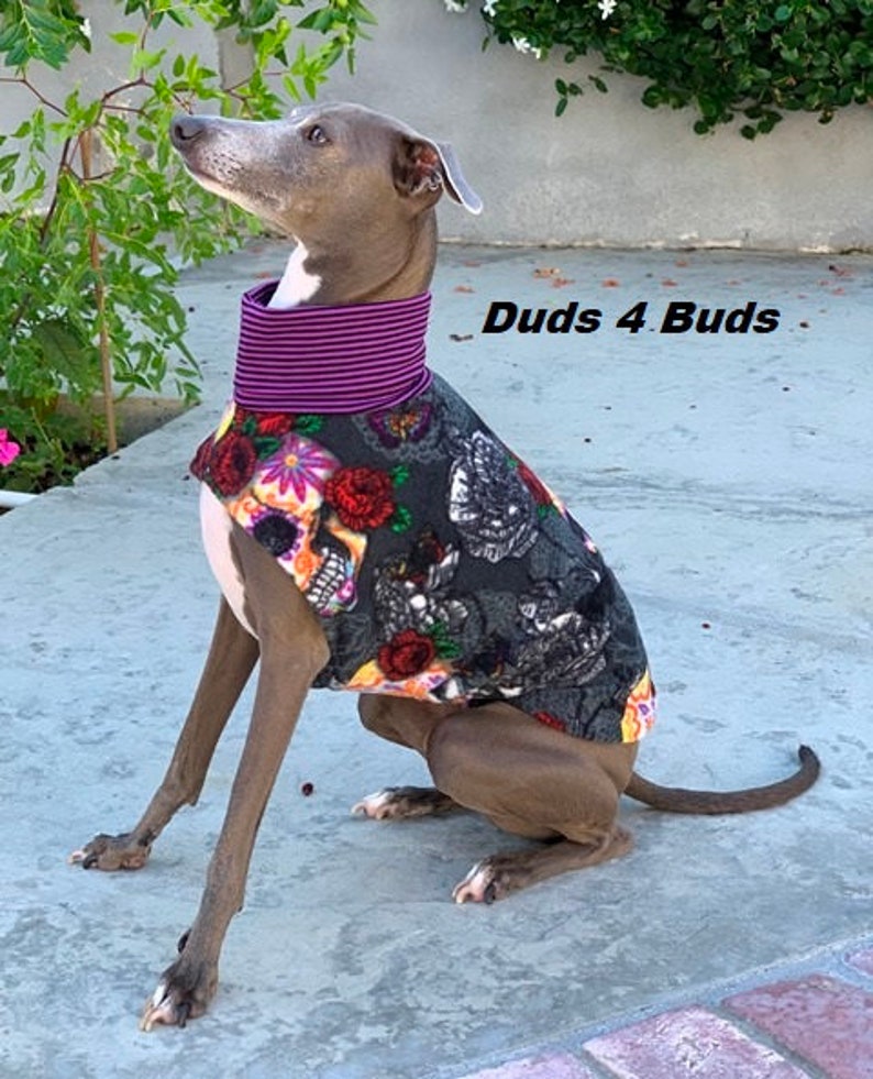 Italian Greyhound Clothing Dog Halloween Dog Clothing | Etsy