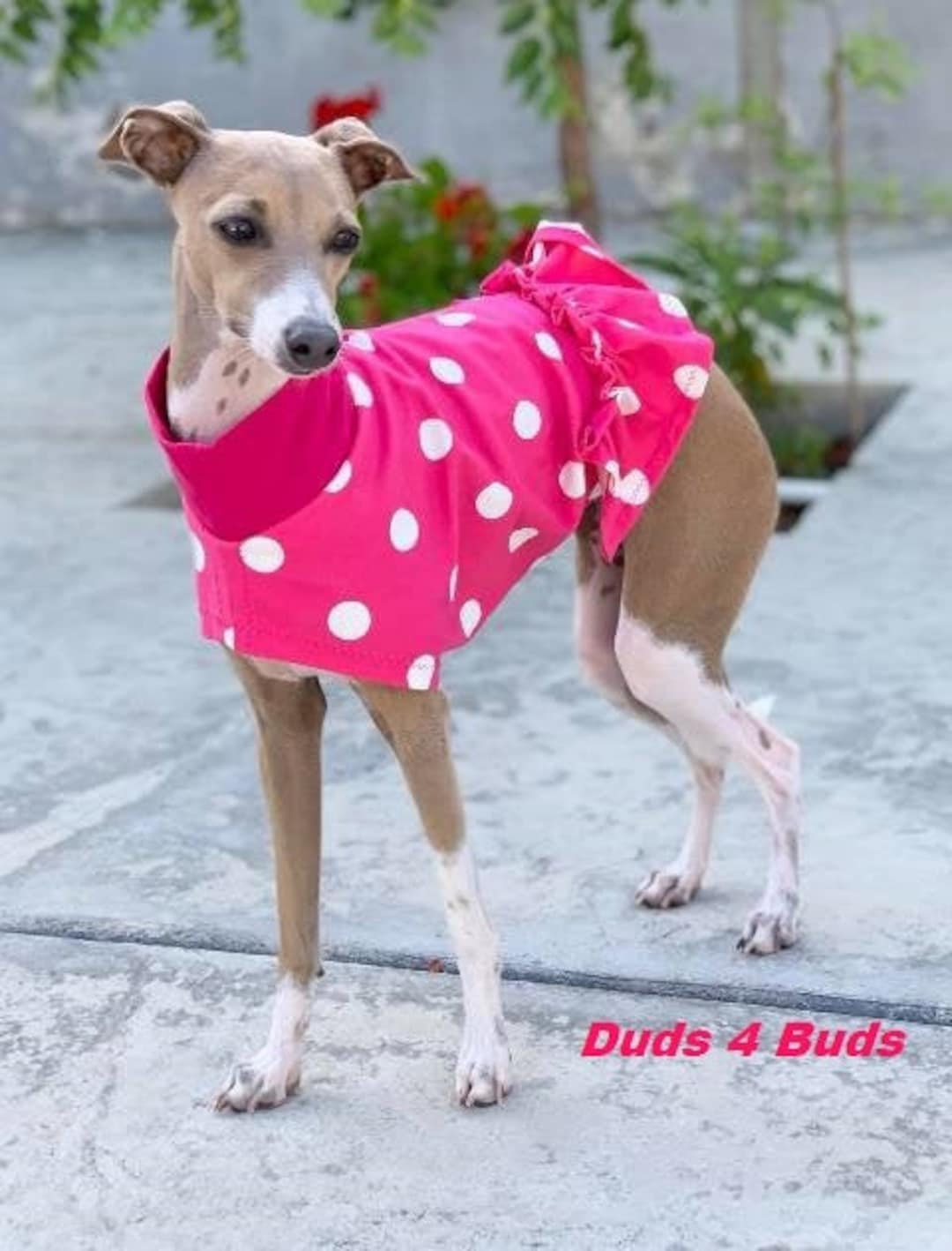 Italian Greyhound Clothing - Dress for Dog - Small Dog Dress - Pink ...