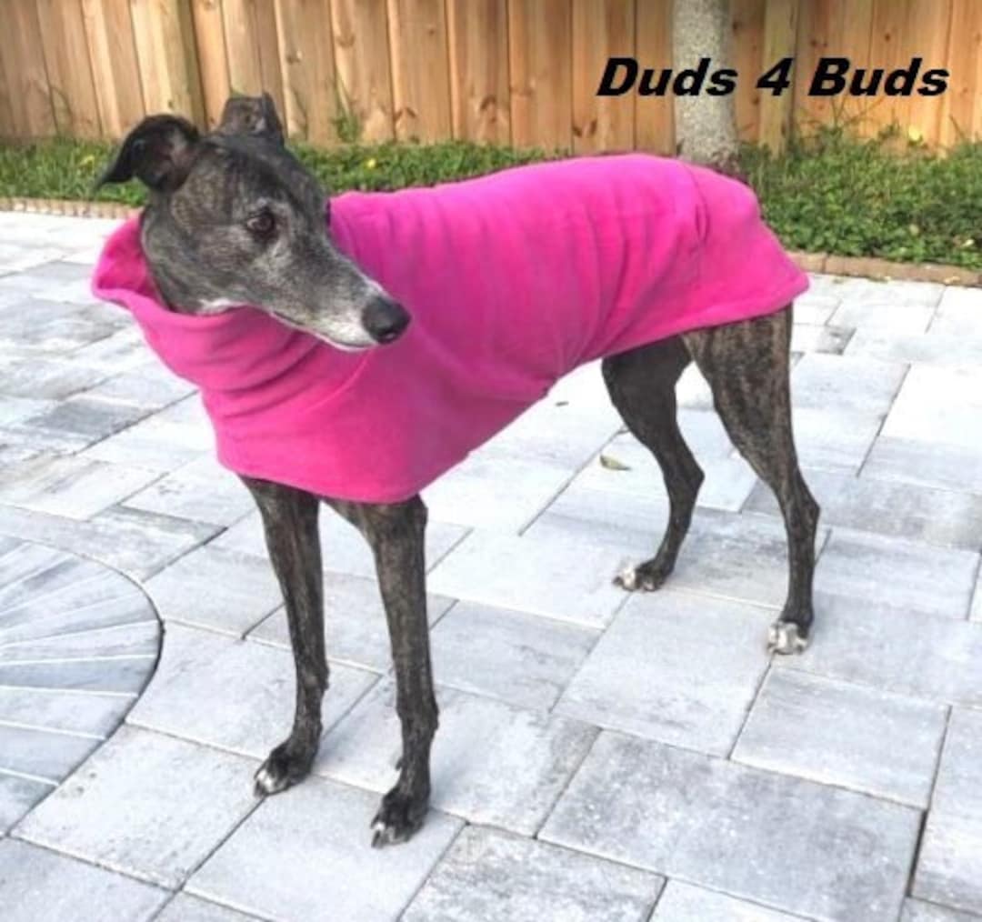 Greyhound Coat - Greyhound Clothing - Hot Pink for Dog - Dog Jacket ...