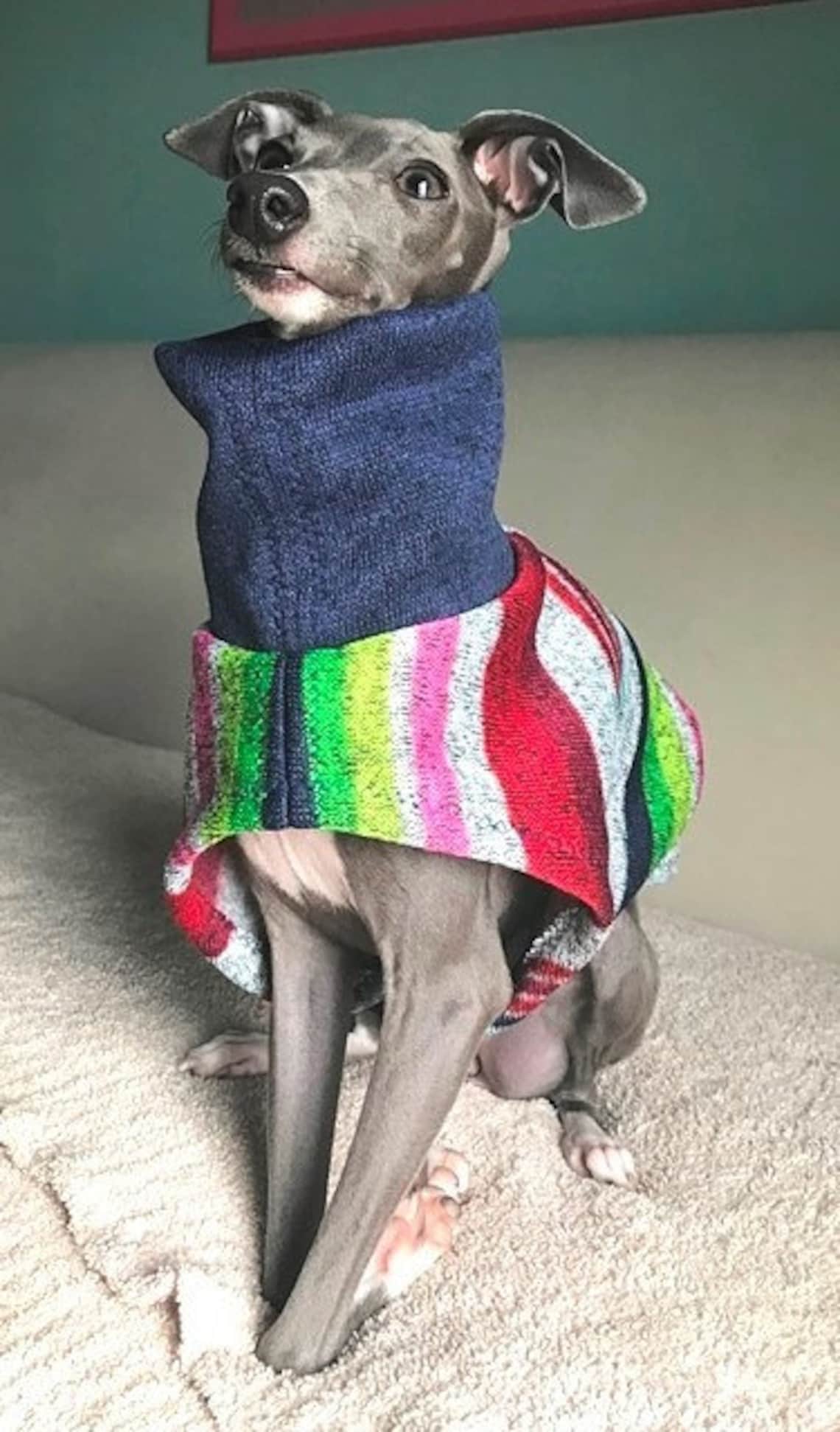 Italian Greyhound Sweater Multi-stripe Italian Greyhound - Etsy