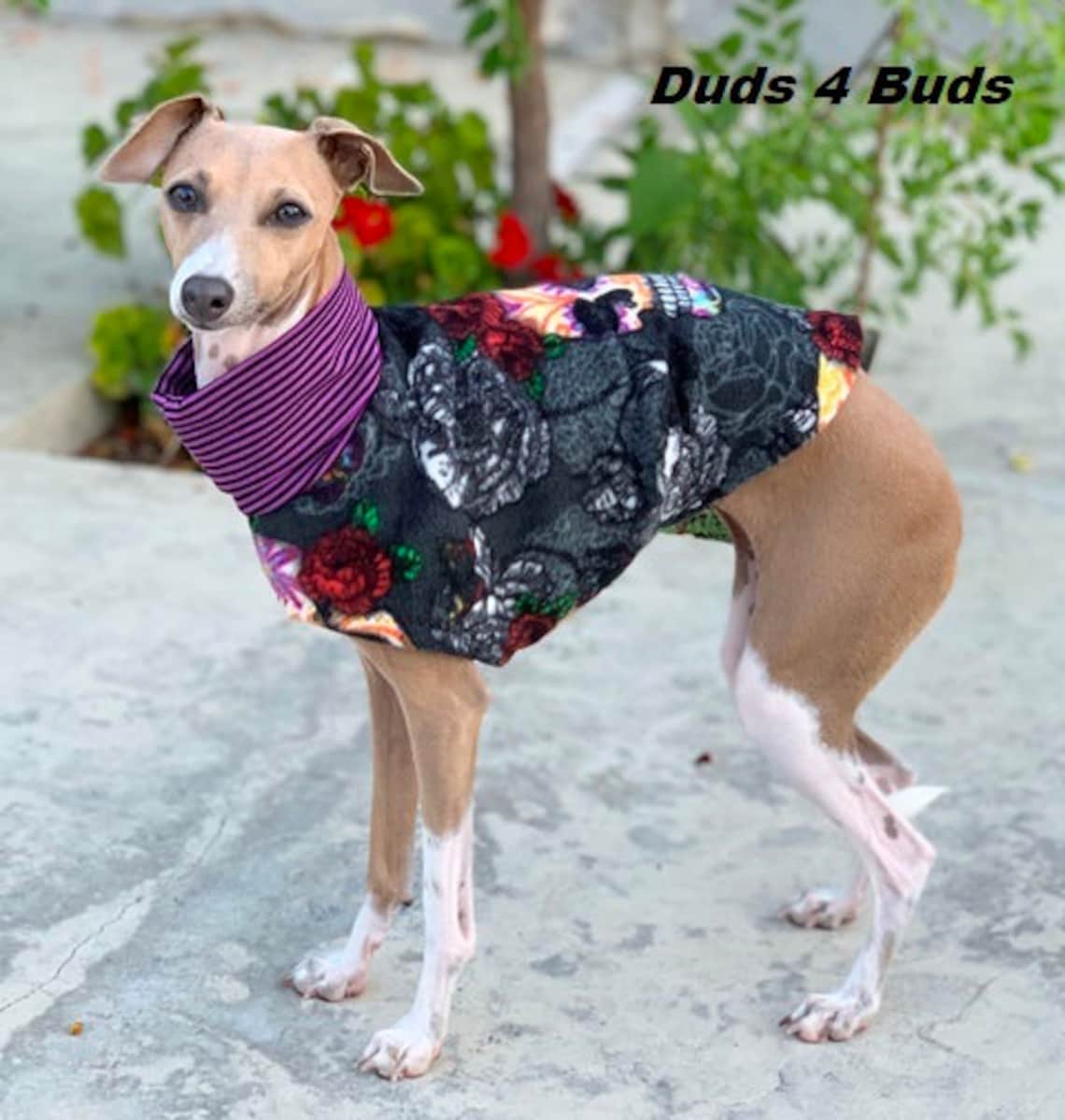 Italian Greyhound Clothing Dog Halloween Dog Clothing | Etsy