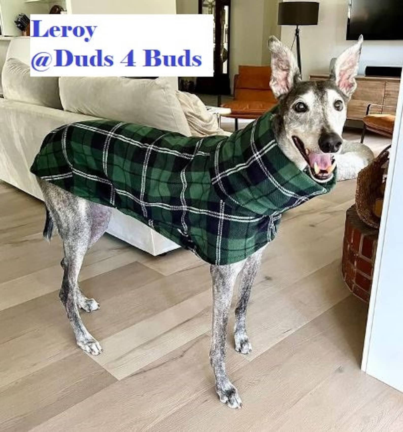 Greyhound Coat - Plaid Dog Coat - Dog Jacket - Greyhound Clothing ...