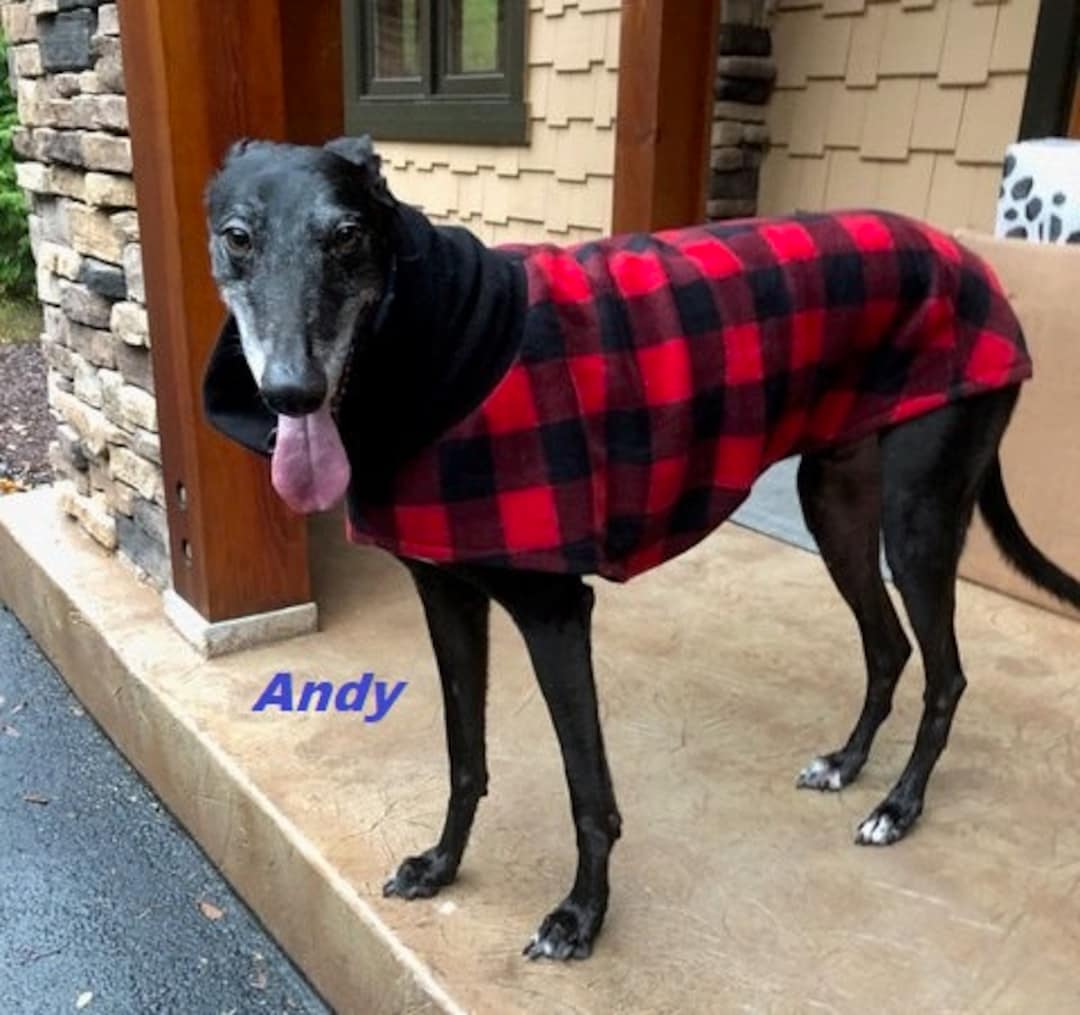Greyhound Coat - Plaid Dog Coat - Dog Jacket - Greyhound Clothing ...