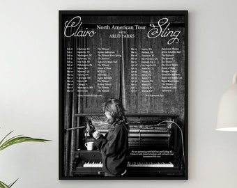 Clairo Merch Tour - Etsy