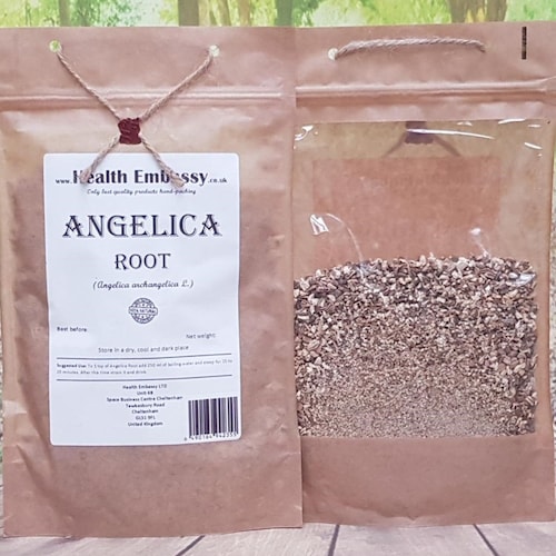 Angelica Root Angelica Archangelica L. Radix Archangelicae - Etsy UK