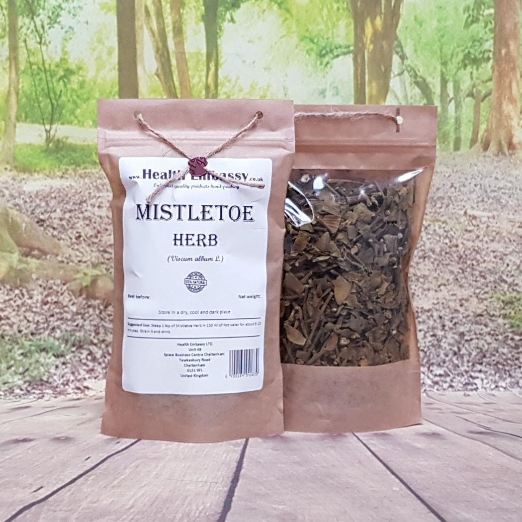 Mistletoe Herb Tea Viscum Album L Health Embassy 100% - Etsy UK