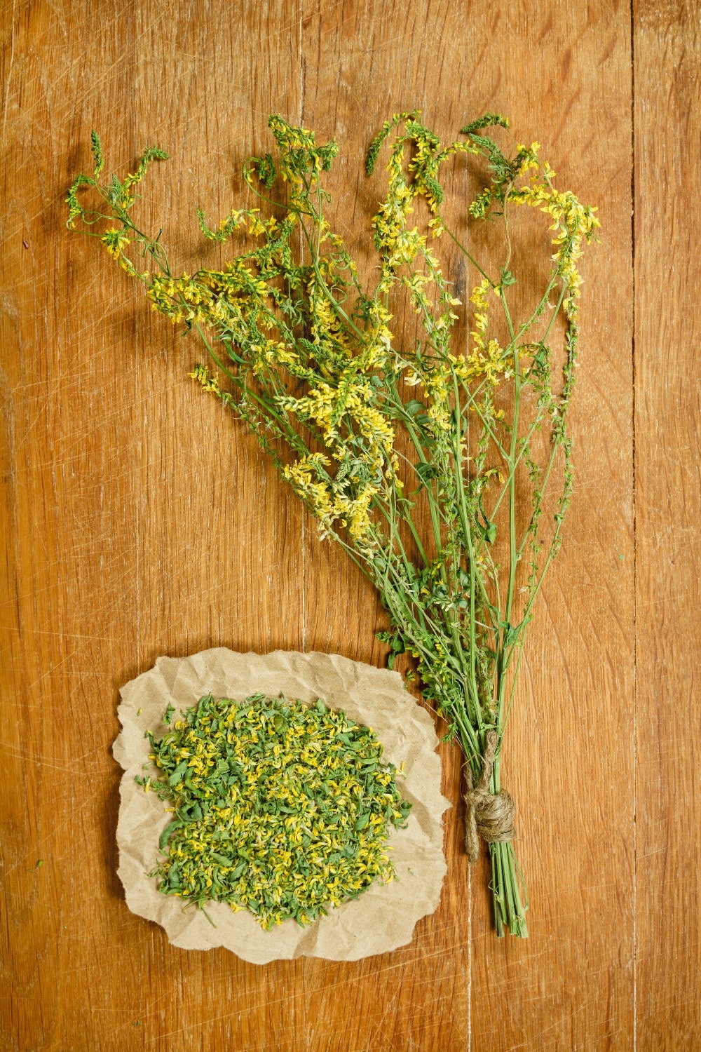 Meliot Sweet Clover Herb Tea Melilotus L. Melilotus - Etsy UK