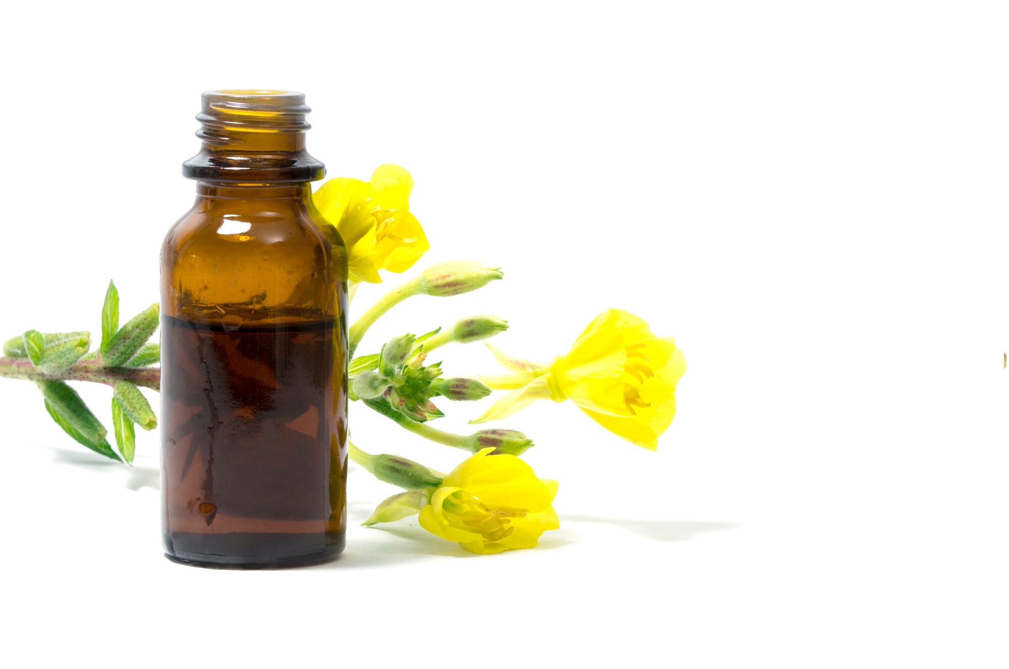 Fresh Cold Pressed Evening Primrose Oil oenothera L Health - Etsy UK