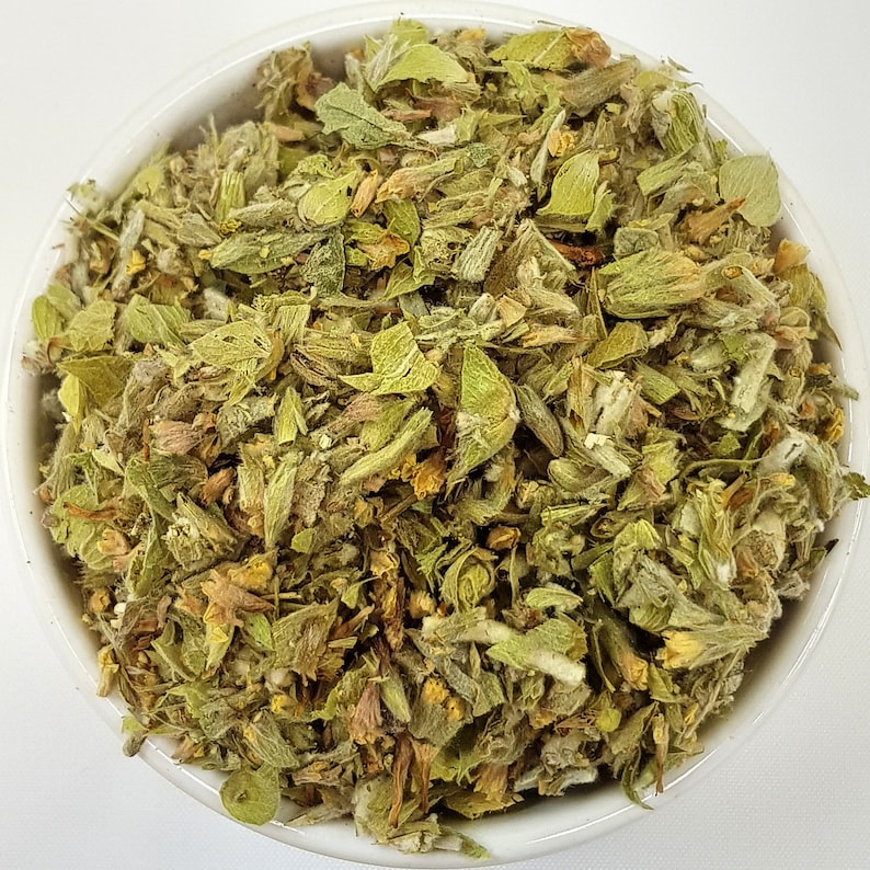 Greek Mountain Tea Sideritis L. Sideritis Scardica - Etsy Ireland
