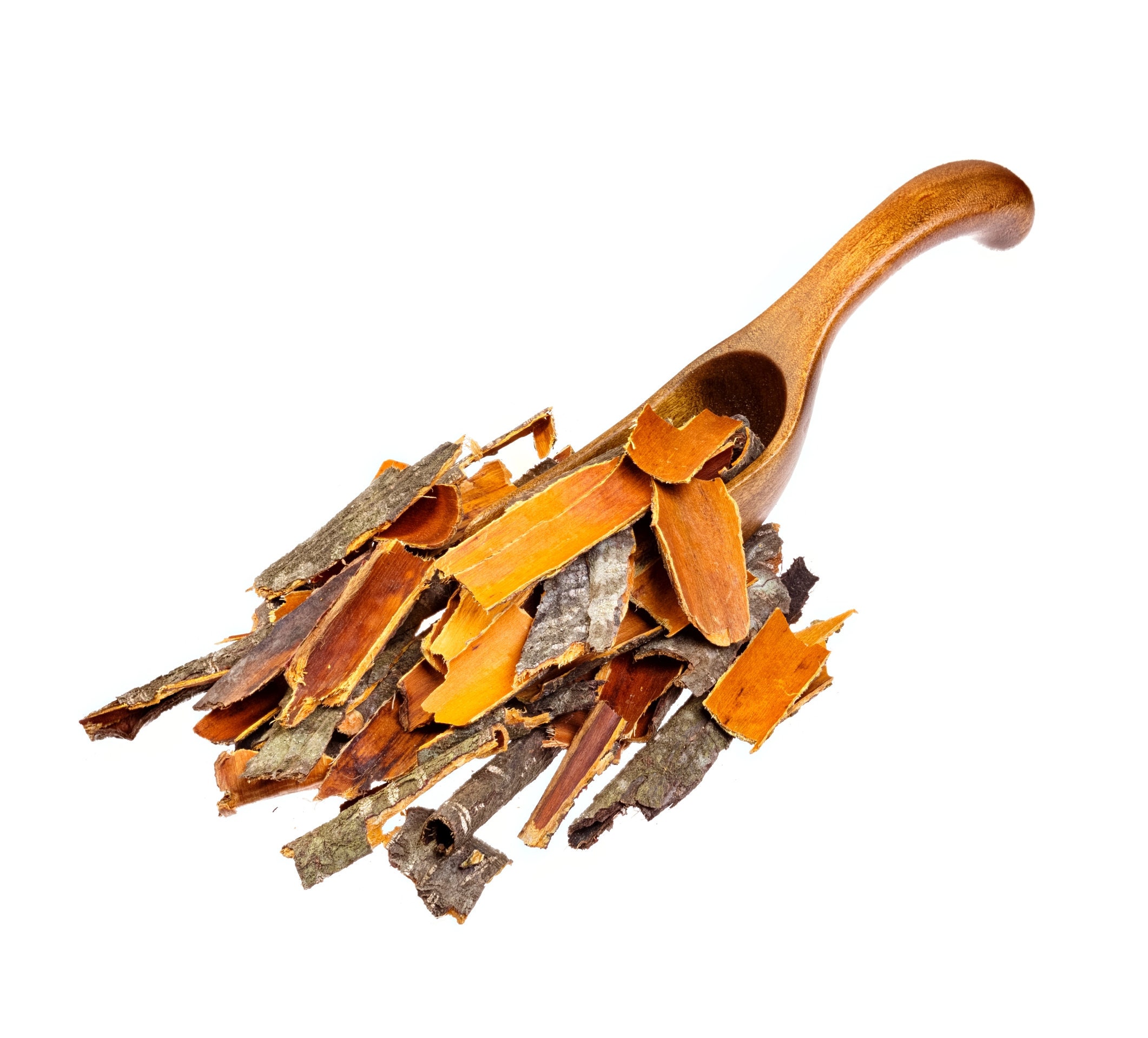 Buckthorn Bark Frangula Alnus Health Embassy 100% Natural - Etsy UK