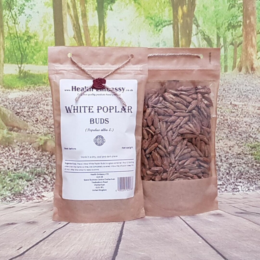 White Poplar Buds Tea ( Populus Alba L. ) - Health Embassy - Etsy
