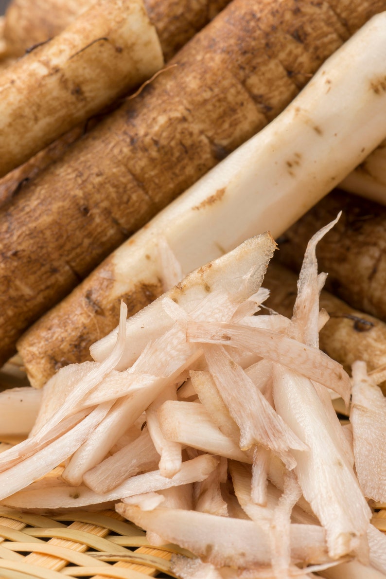 Burdock Root Arctium Lappa L Health Embassy 100% Natural | Etsy UK