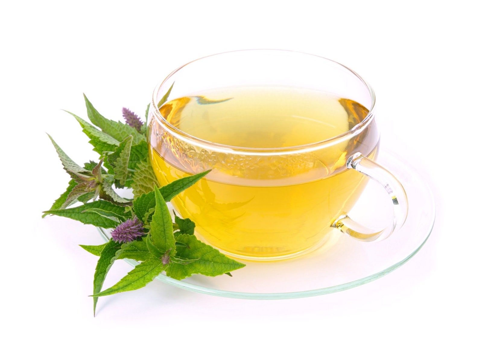 Hyssop Herb Tea hyssopus Officinalis L Health Embassy - Etsy UK