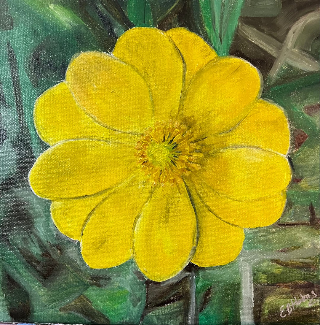 Buttercup Flower is an Original Signed Oil Painting - Etsy