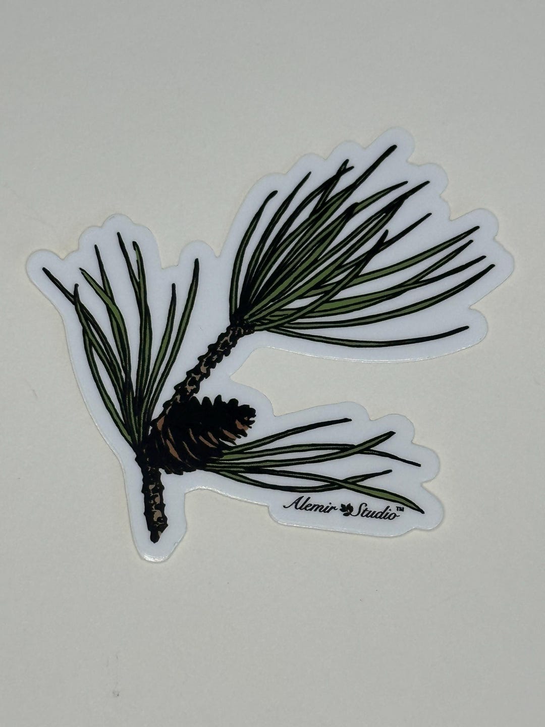 Botanical Sticker Pine Cone Sticker Hand Drawn Original Art Sticker ...