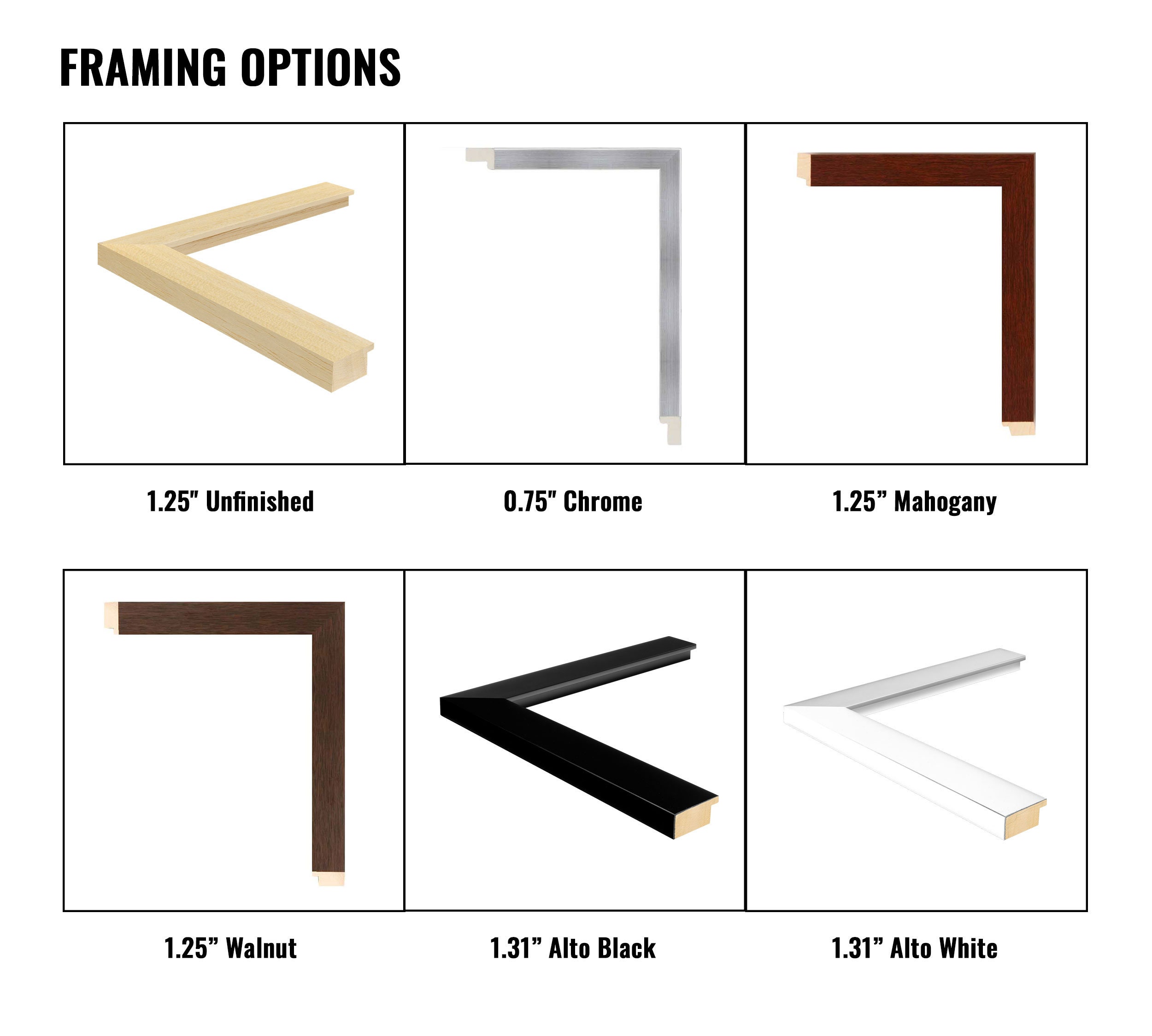 Scribe Skeleton Print | Etsy