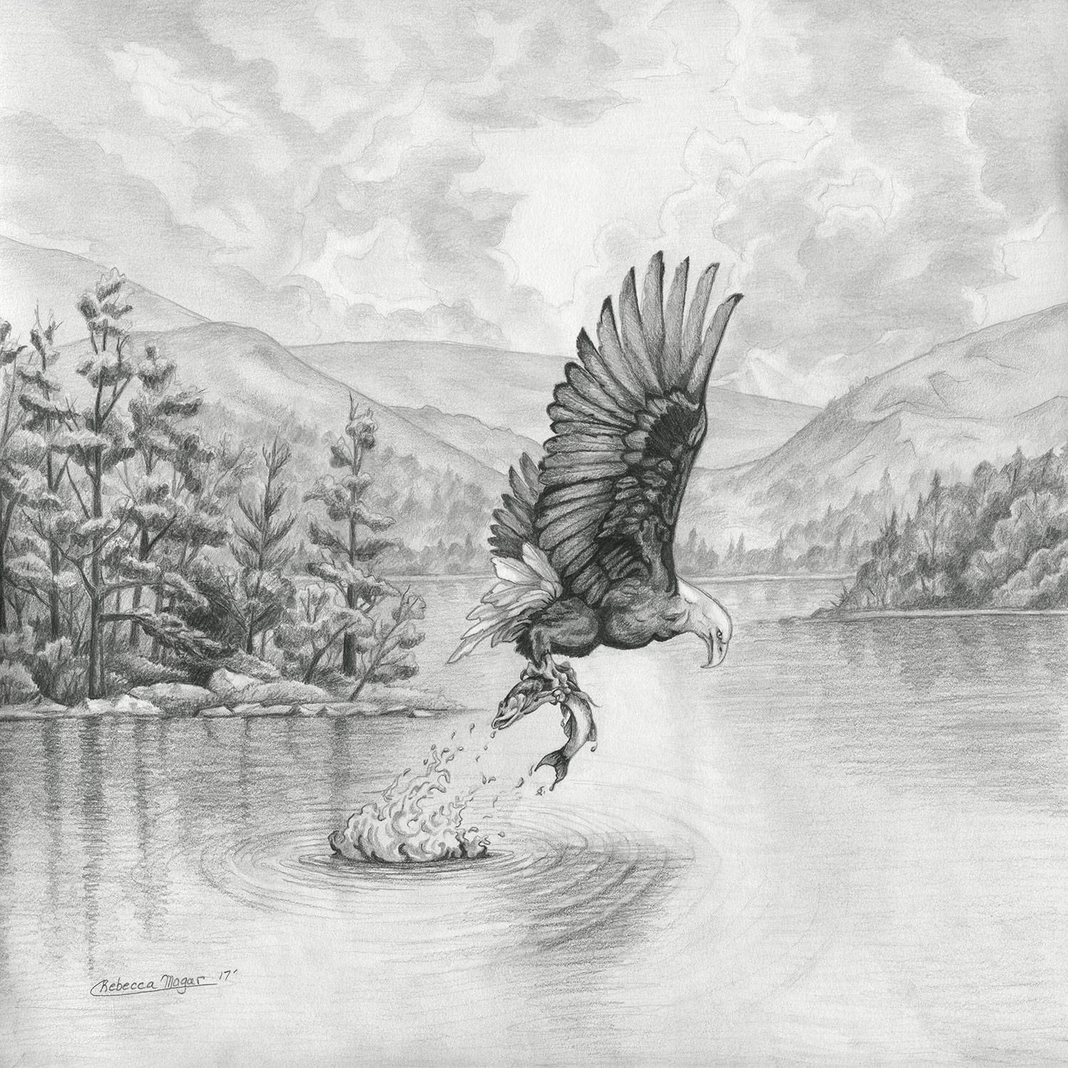 Eagle Catching Fish Drawing