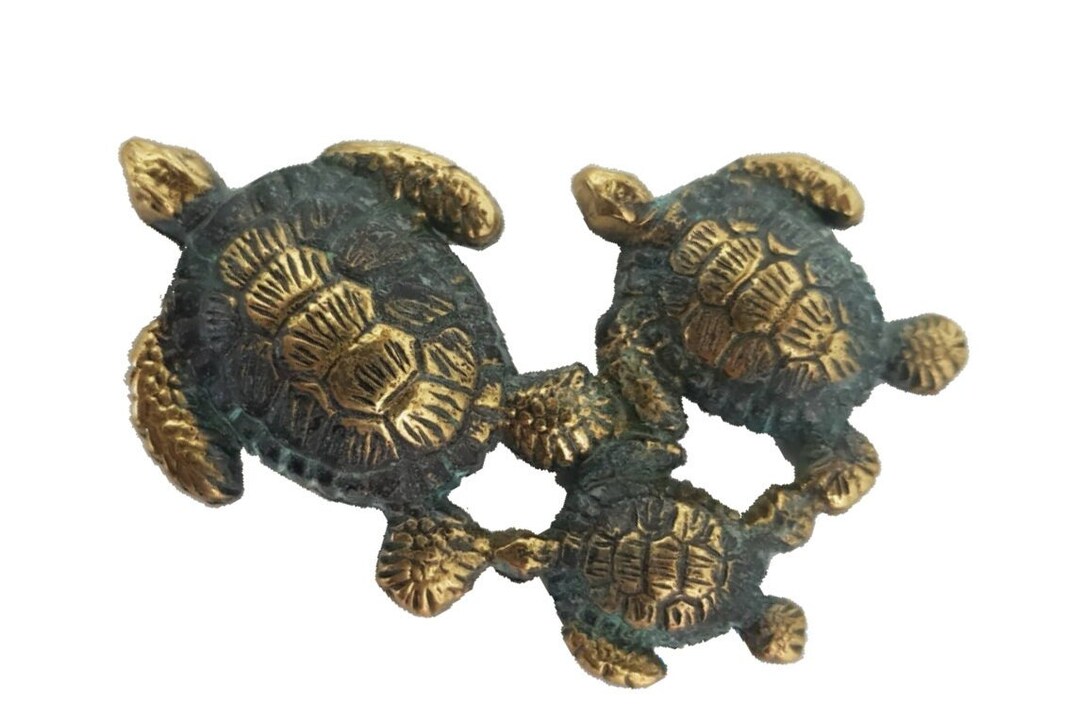 Bronze Turtles, Turtle Family, Three Turtles, Caretta Caretta Turtles ...