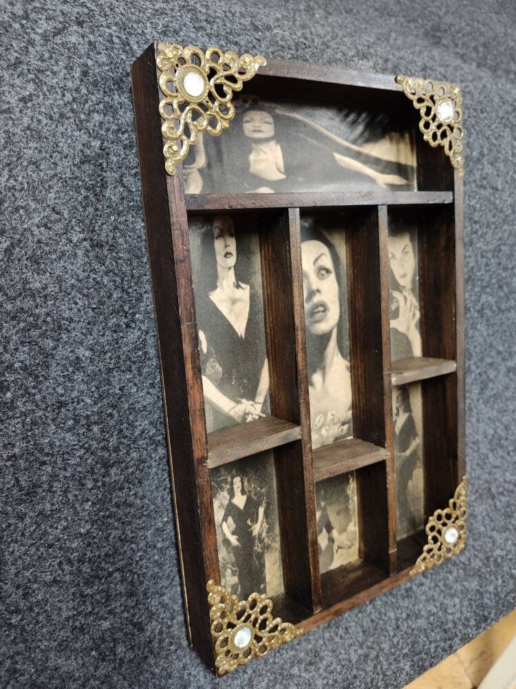 Horror Divas Cabinet of curiosities