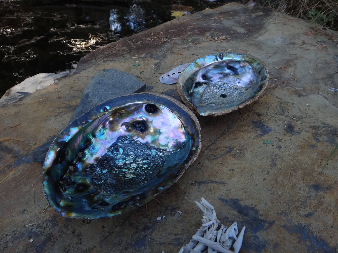 Abalone Shell. Native American Purification Ceremony. Ormeau. Smudging ...