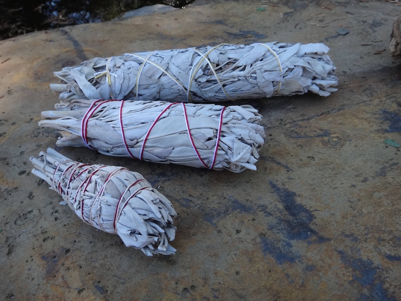 White Sage Bundle. Native American Purification Ceremony. - Etsy
