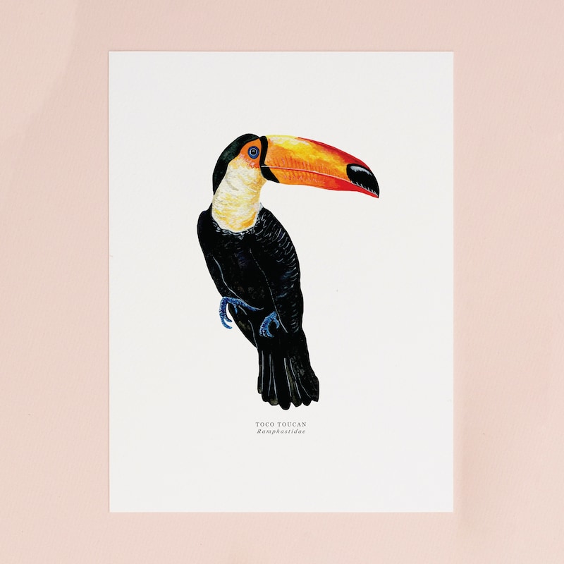 Tropical Bird Print - Etsy