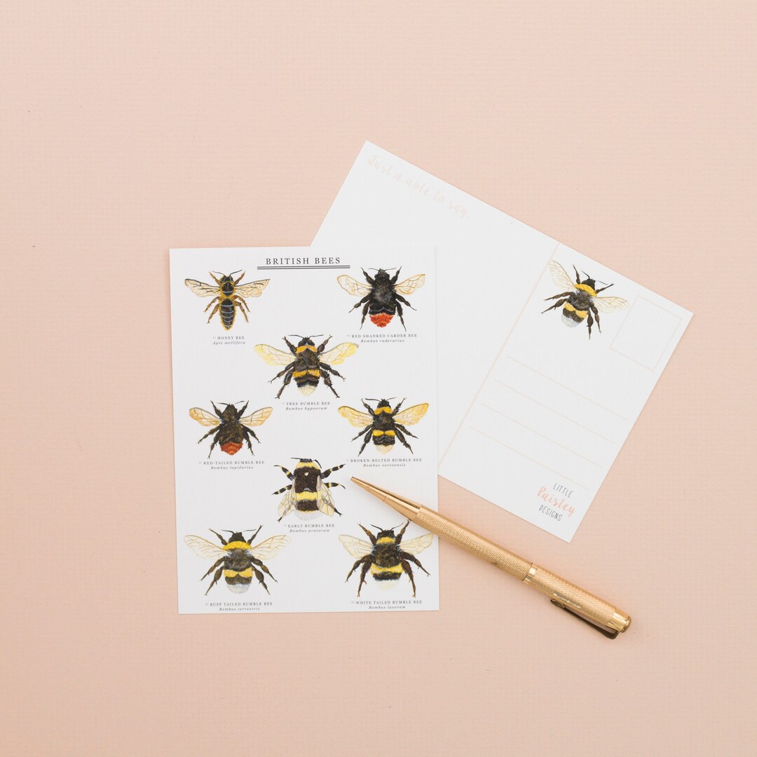 British Bees Postcard | British Nature | Nature Art | Bee Print ...