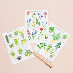 Potted Houseplants Postcard | Plant Print | Nature Art | Botanical ...