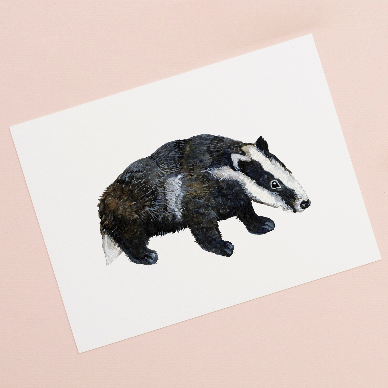 British Badger Illustrated Giclée Print | Badger Print | Giclée Print ...
