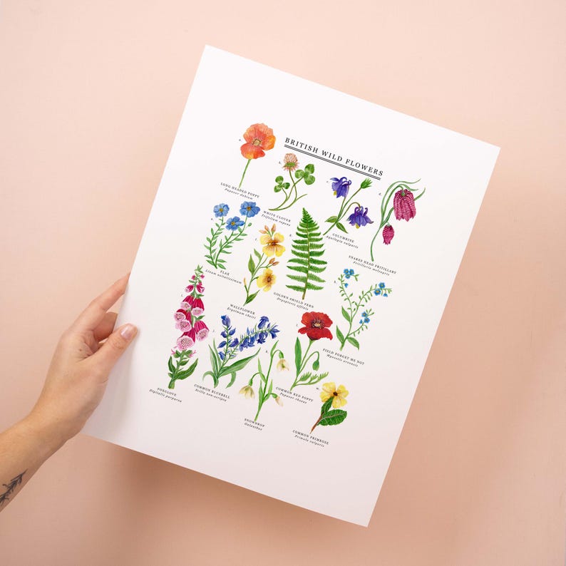 British Wild Flowers Print | Illustrated Giclée Print | Wildflower ...