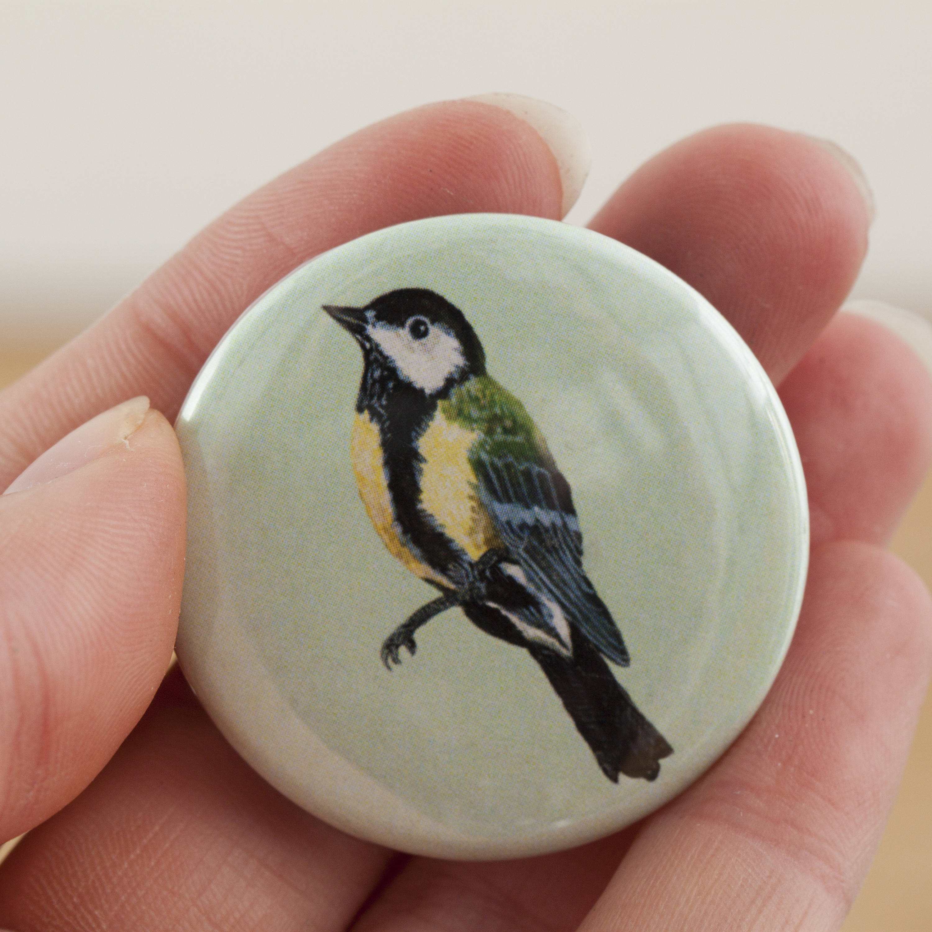 Garden Bird Fridge Magnet Set Bird Magnet Design Nature | Etsy