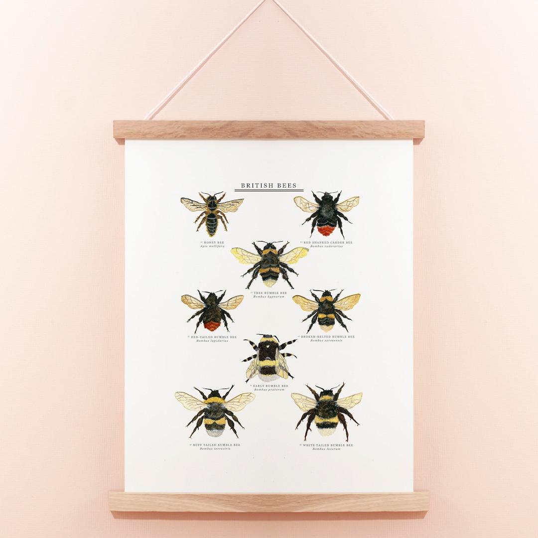 British Bee Print | Bee Illustration | Bee Painting | Bee Print ...