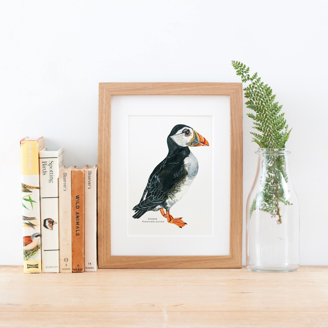 Puffin Illustrated Giclée Print British Puffin Print | Etsy