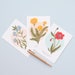 British Wild Flower Notelet Pack | Pack of 8 Illustrated Notelets ...