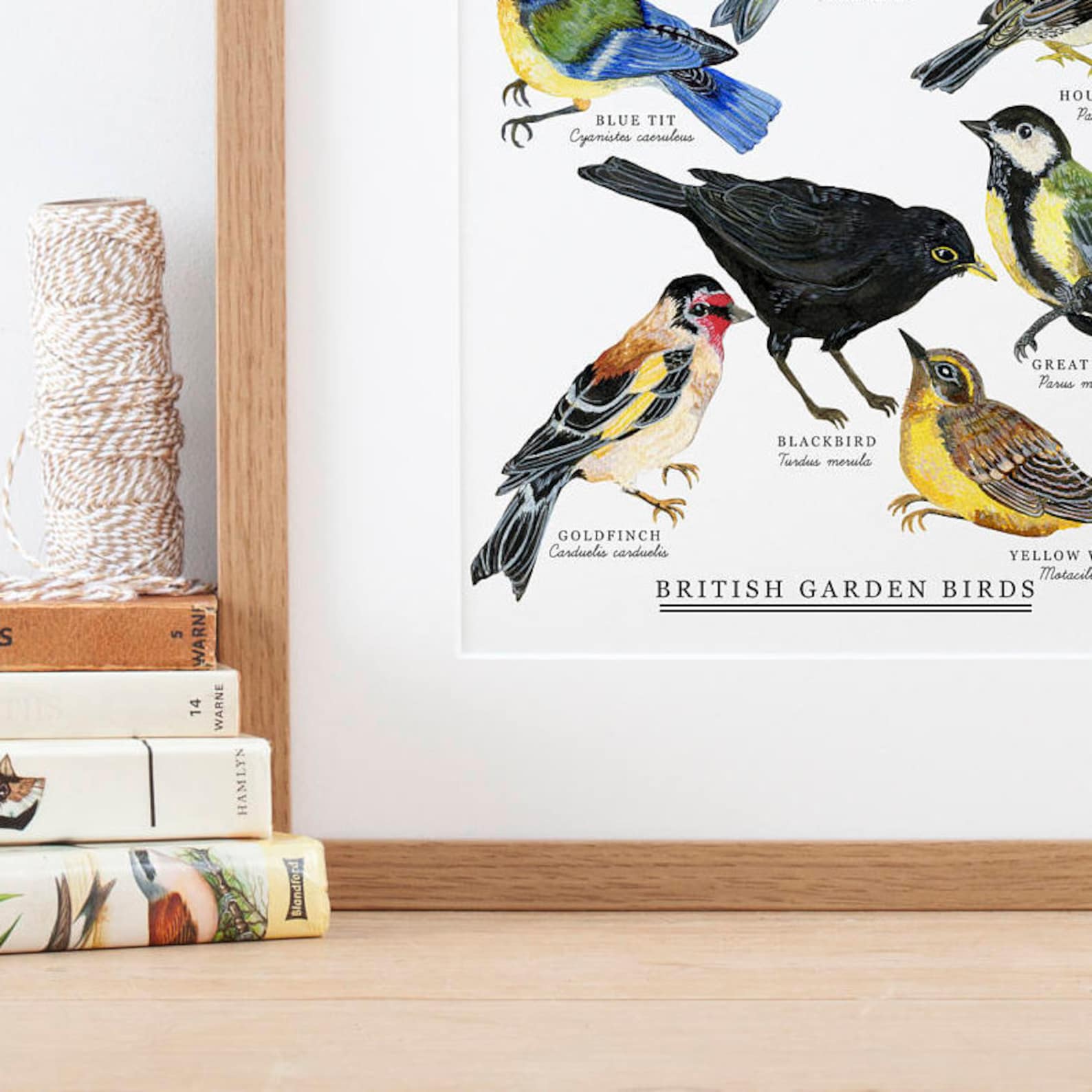 British Garden Birds Print Bird Giclée Print British - Etsy UK