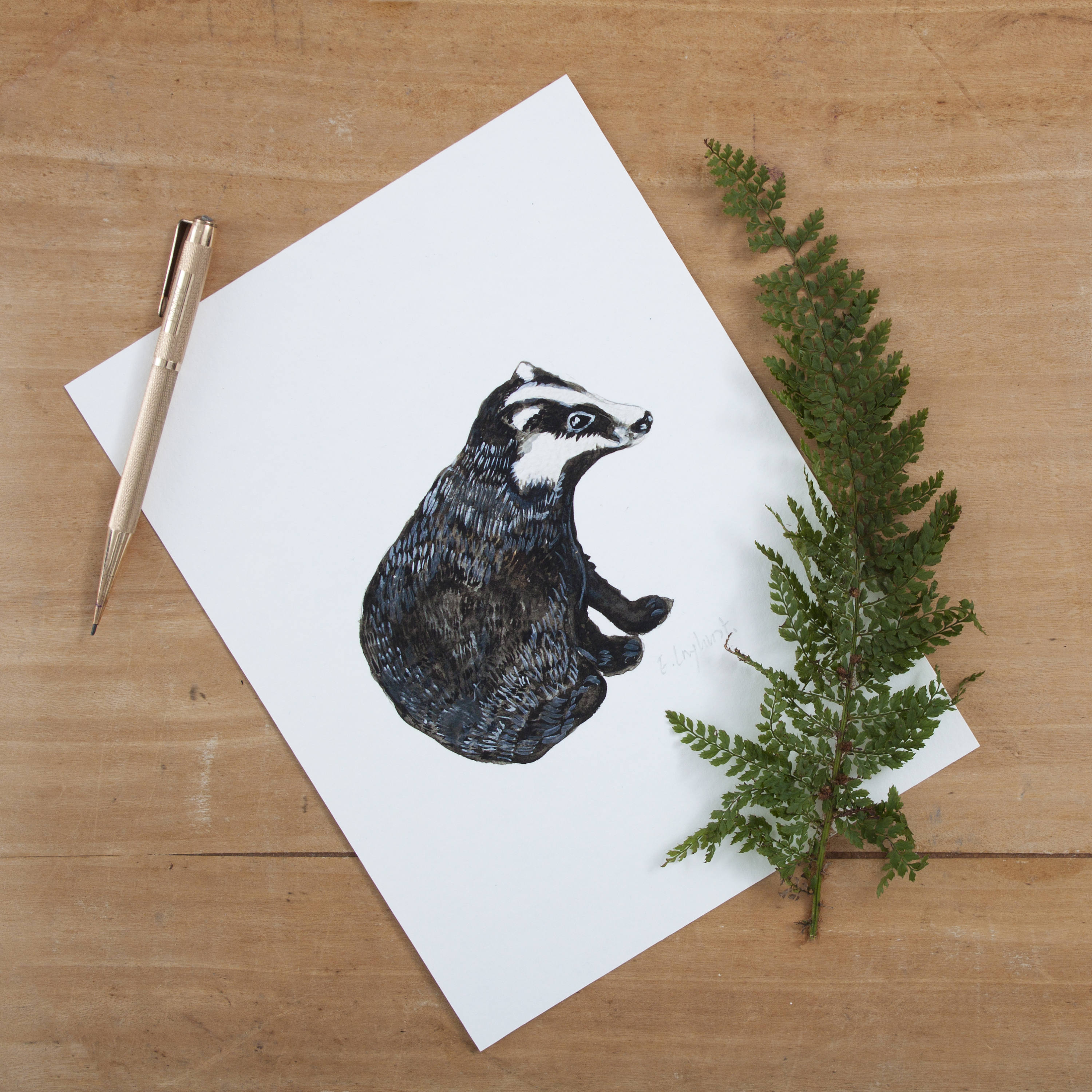 Badger Illustrated Giclée Print | British Badger Print | Giclée Print ...