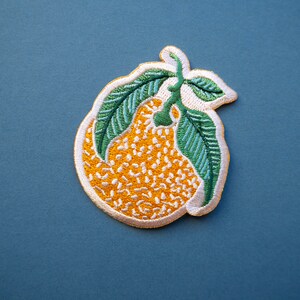 Clementine Embroidered Iron-on Patch Nature Patch Orange Patch ...