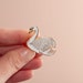 Mute Swan Enamel Pin Pin Badge Hard Enamel Pin Gold - Etsy