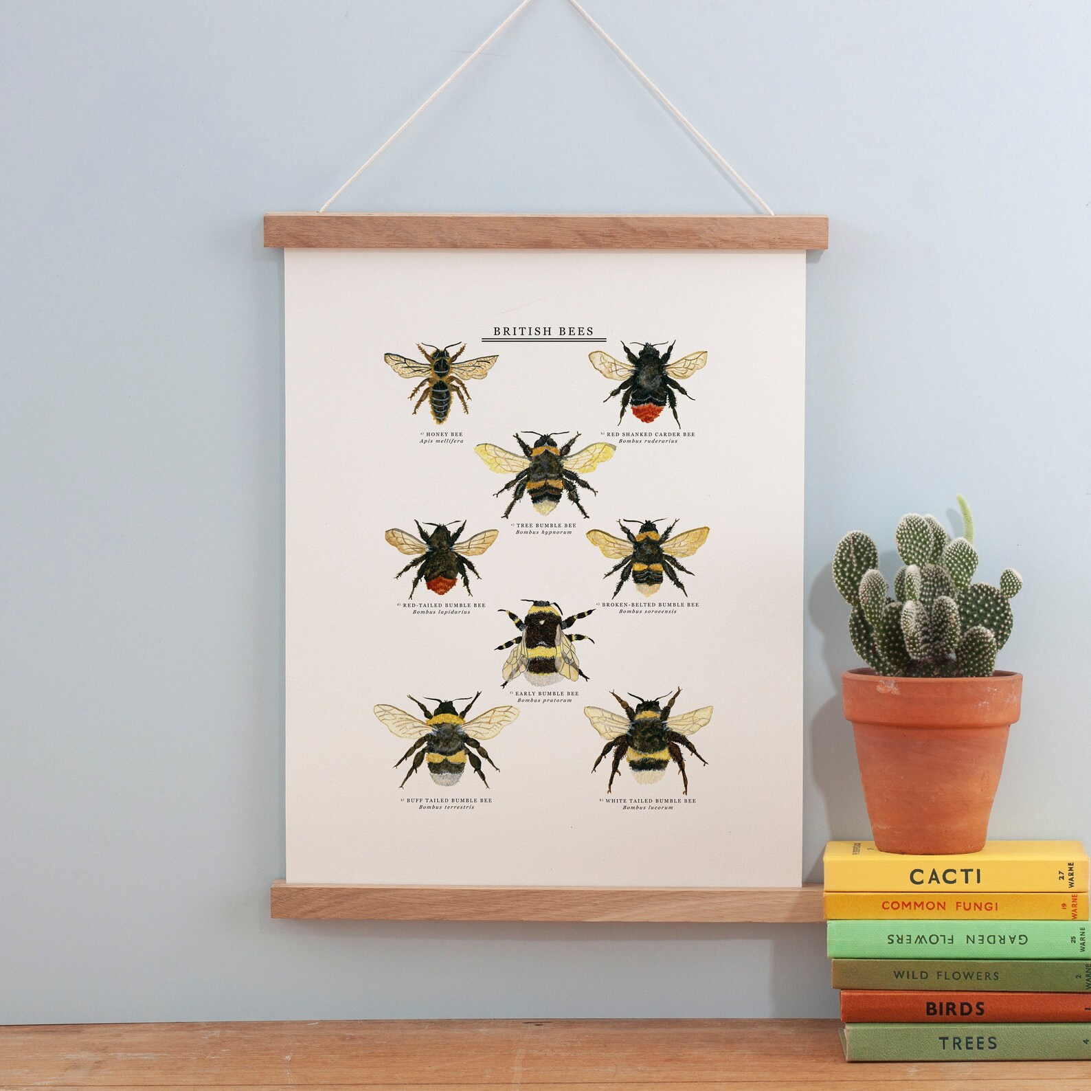 British Bee Print | Bee Illustration | Bee Painting | Bee Print ...