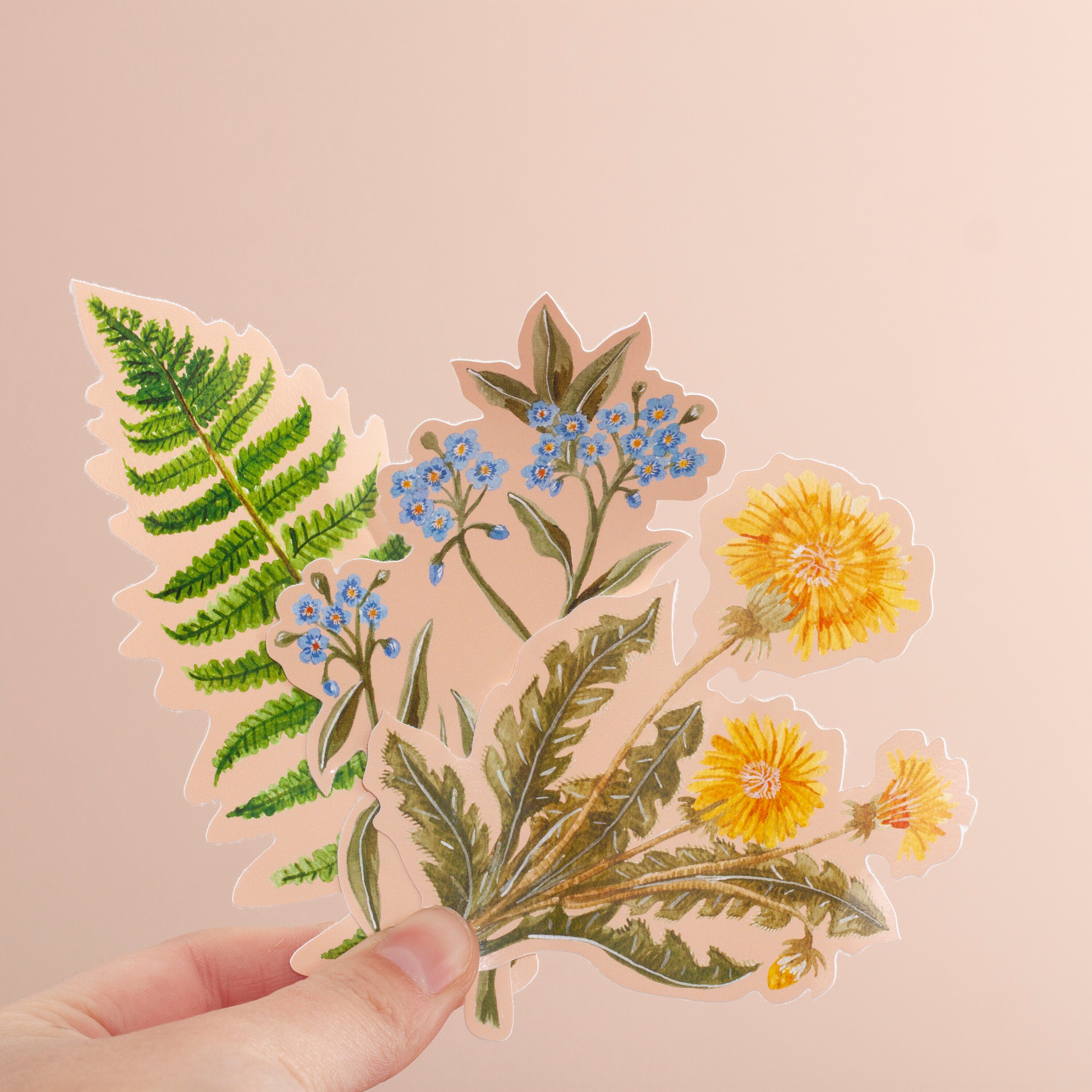 Wildflower Vinyl Sticker Pack | Watercolour Flower Stickers | Dandelion ...
