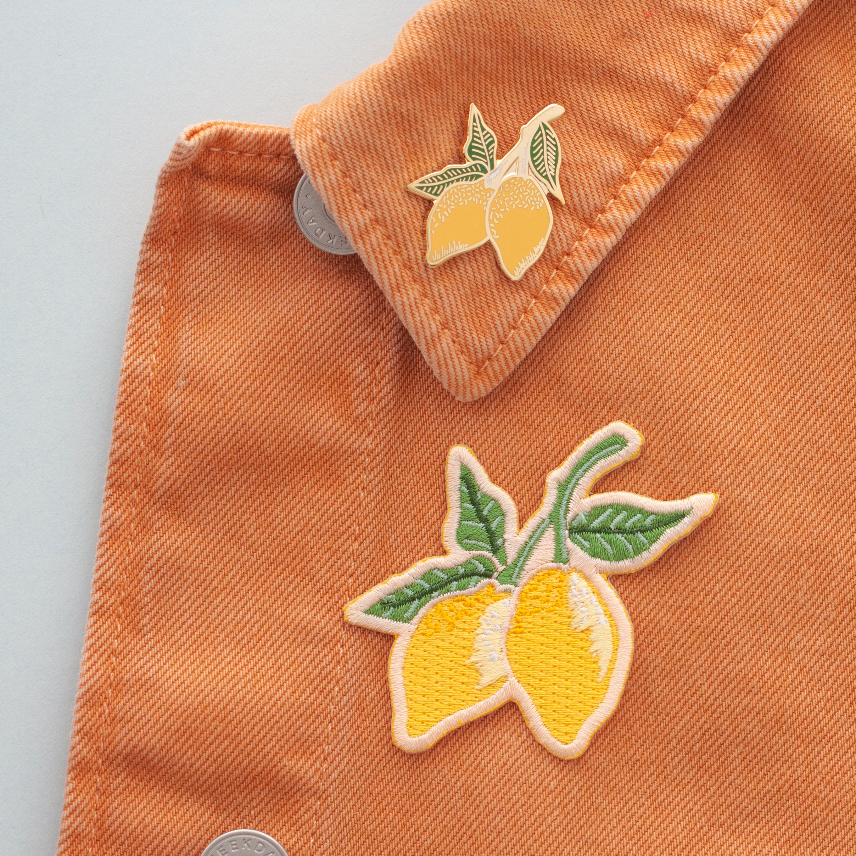 Lemons Embroidered Iron-on Patch Nature Patch Lemon Patch | Etsy