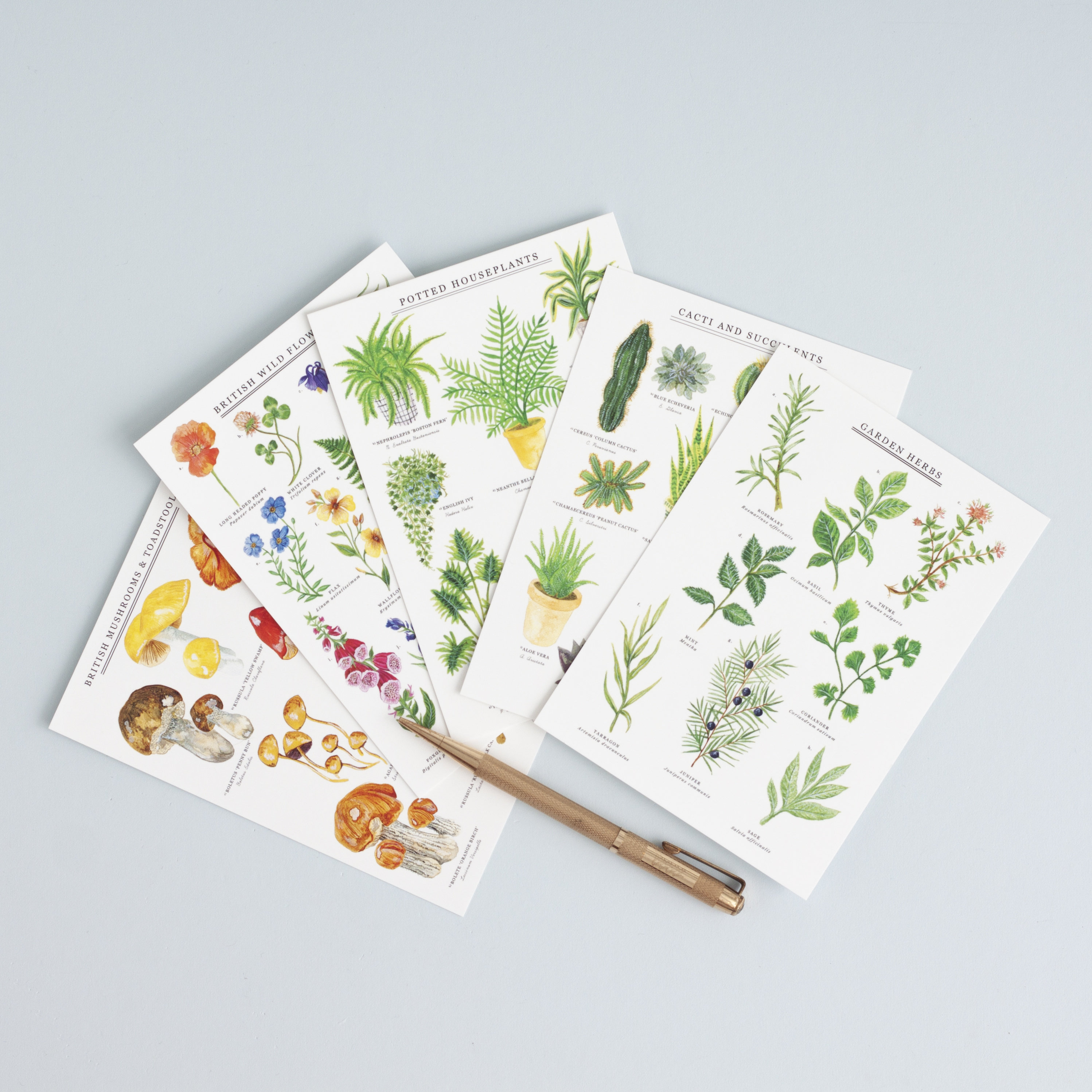 British Nature Postcard Set Pack of 10 Postcards British | Etsy UK