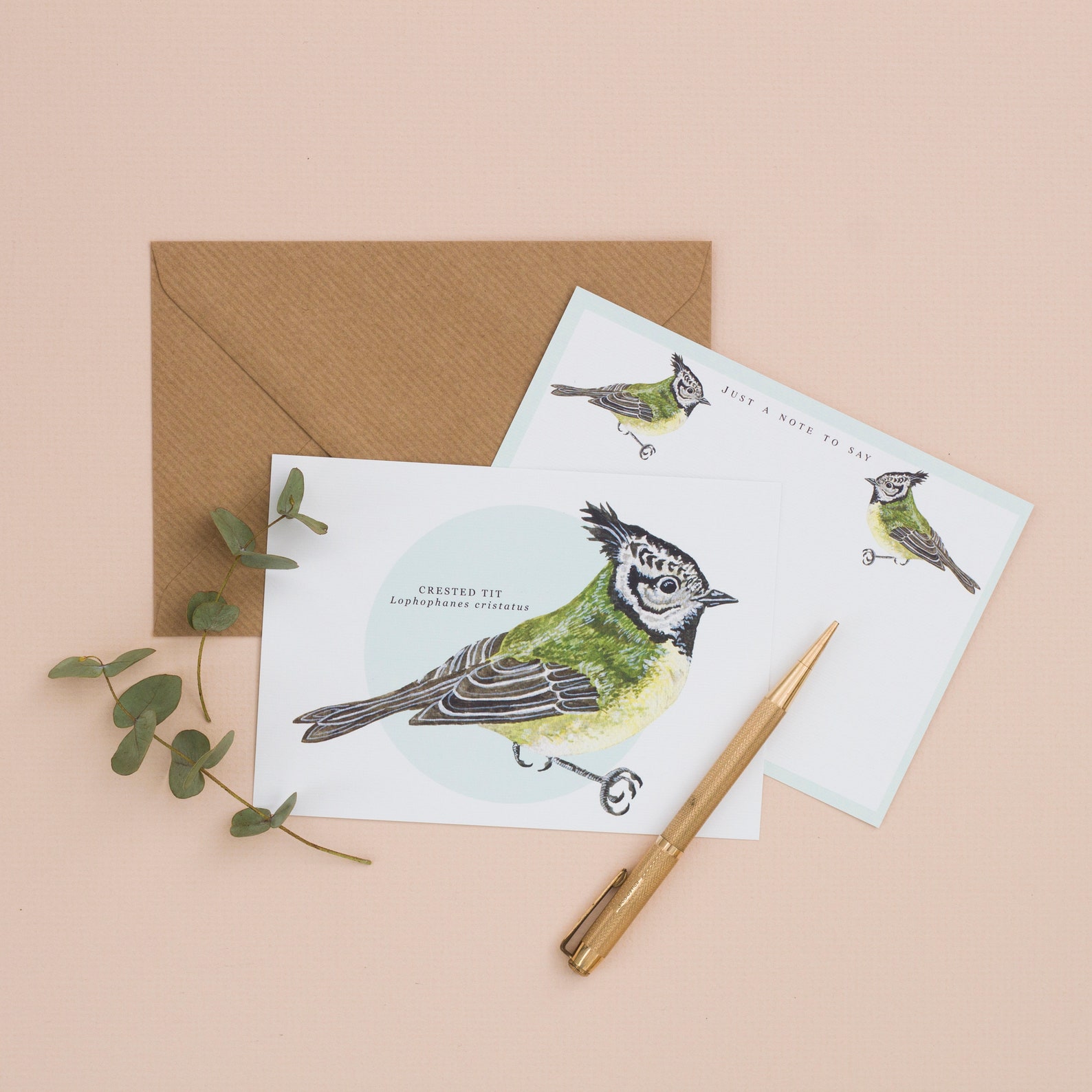 British Bird Notelet Pack Pack of 8 Illustrated Notelets - Etsy UK