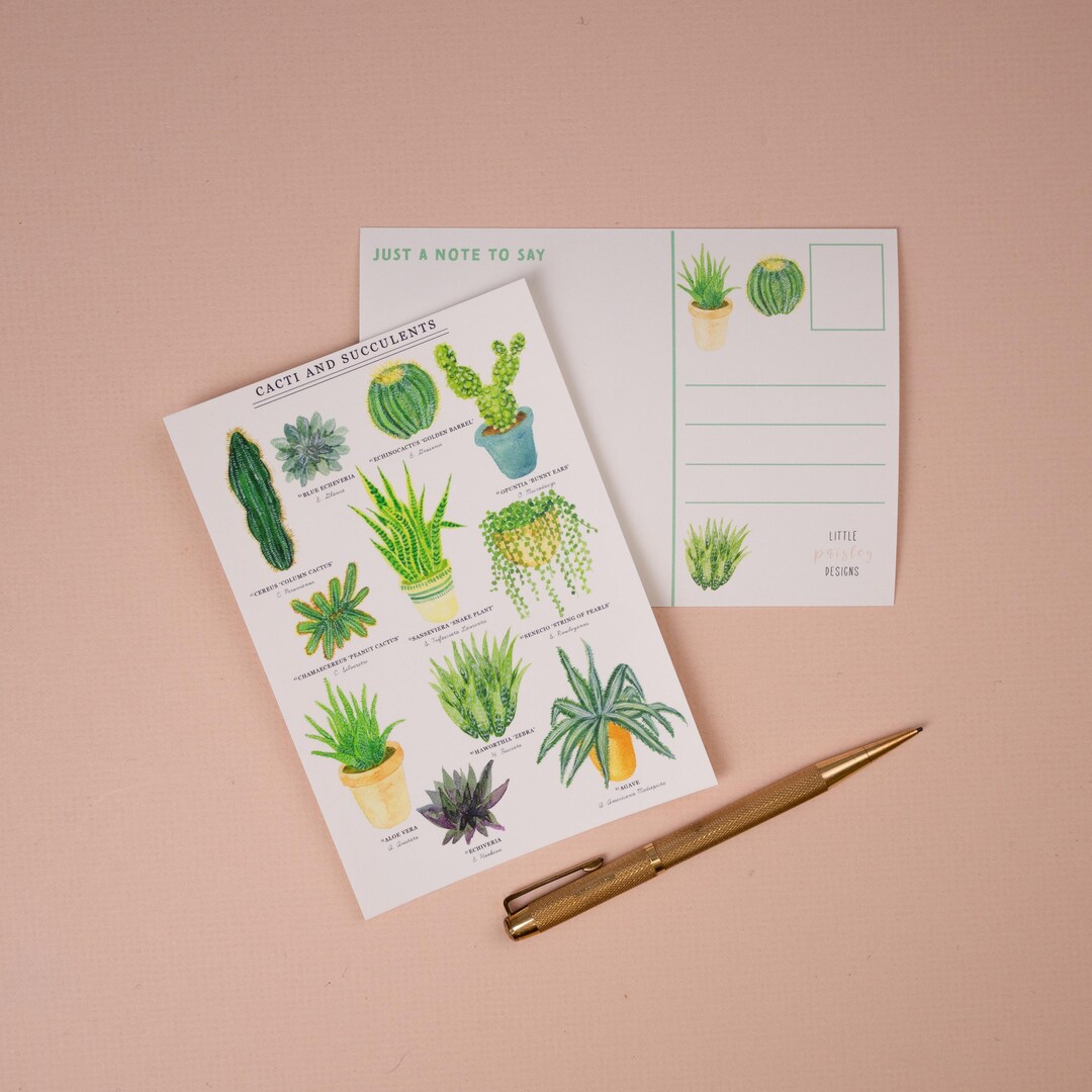 Cacti & Succulents Postcard | Plant Print | Nature Art | Botanical ...